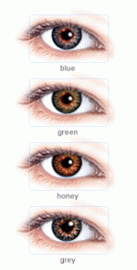 Fast Facts About Toric Contacts for Astigmatism - Color Me Contacts